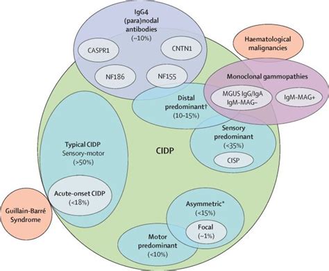 Explore Benefits Of Hsct Treatment For Cidp