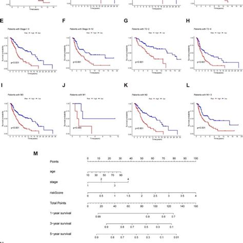 Subgroups Analysis Of Clinical Features In The Predictive Model And