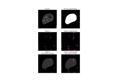 Skimage Segmentation Skimage Documentation