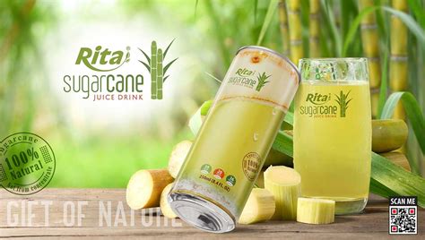 Fruit Juice Wholesale Company Pure Natural Sugar Cane Juice Drink 10 8