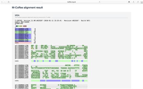 Multiple Sequence Alignment Using Clustal Omega And T Coffee Vijini