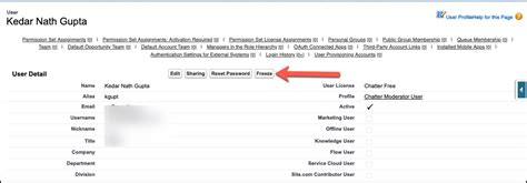 How To Freeze User Accounts In Salesforce Automation Champion
