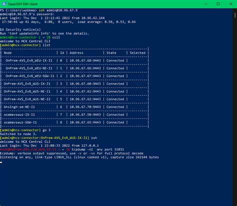 Campfire Stories Series HCX Internal FW Troubleshooting DinoCloud