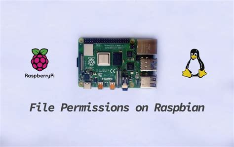 understanding file permissions on raspberry pi