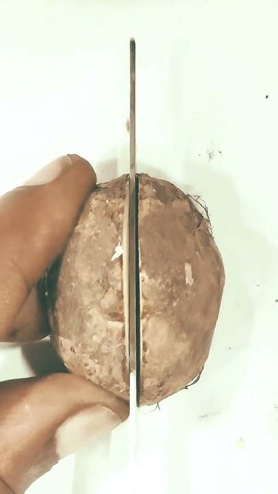 Subhanallah Alhamdulillah 😘 Fruit Cutting Shorts Youtube
