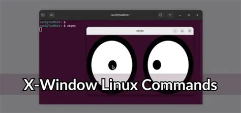 Florin Lungu On Linkedin 11 Must Know X Window Gui Commands For Linux