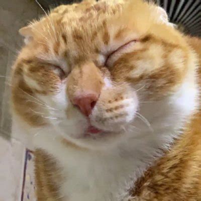S Twitter