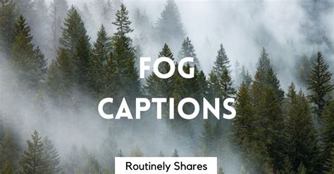 The 120 Best Fog Captions For Instagram For That Next Misty Day