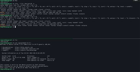 TTY 到底是什么 卡瓦邦噶