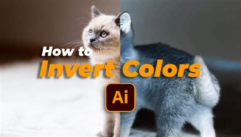 How To Invert Colors In Illustrator Invert Colors Illustration
