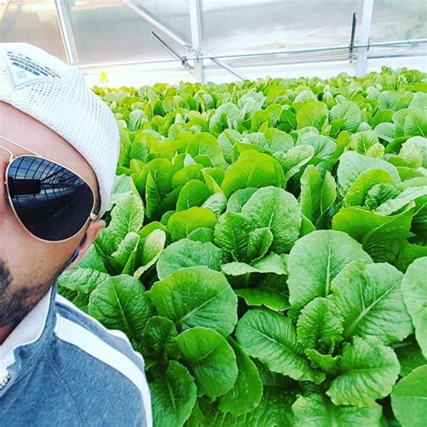 American Hydroponics On Linkedin Customer Appreciation Week Sir Eden