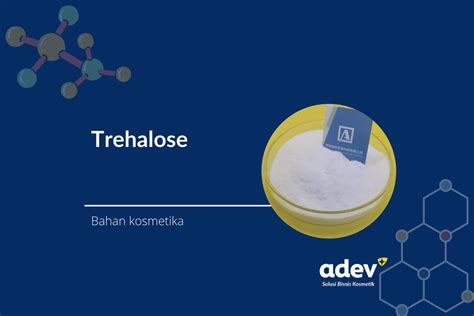 Trehalose Dalam Kosmetik And Skincare Pt Adev