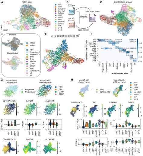单细胞蛋白质组学发science，在单细胞水平上清晰揭示了人类造血干细胞（hsc）向各谱系分化的动态分子机制 知乎