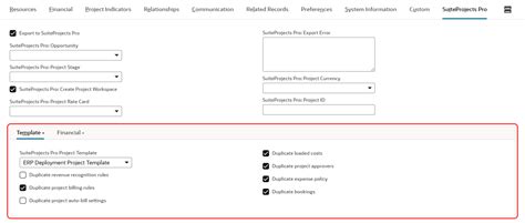 Netsuite Applications Suite Create New Projects Based On The Project