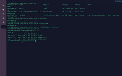 Docker实战教程（十一）：容器数据卷 Cnhkzyy 博客园