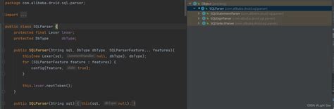 轻松操纵sql：druid解析器实践druid Sql解析器 Csdn博客