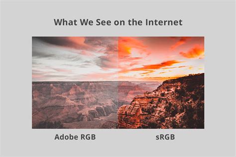 Srgb Vs Adobe Rgb Which Color Mode Is Better In 2025