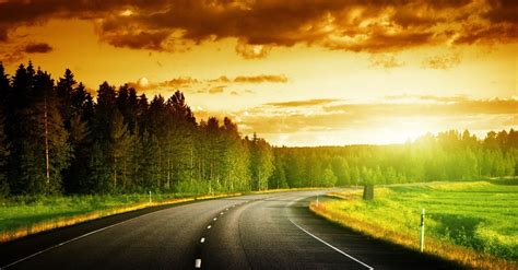 In The Forest Of Humanity The Purpose Of Perception In The Absence Of Observers