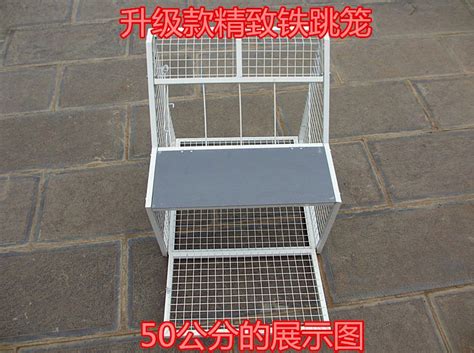 信鸽进出门图片 慕利门信鸽图片 信鸽图片大全 第2页 大山谷图库