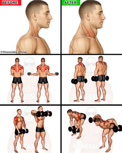 Fitnesslabo Exercises For Strong Neck ① Dumbbell External Rotation ② Shrug ③ Upright Row ④