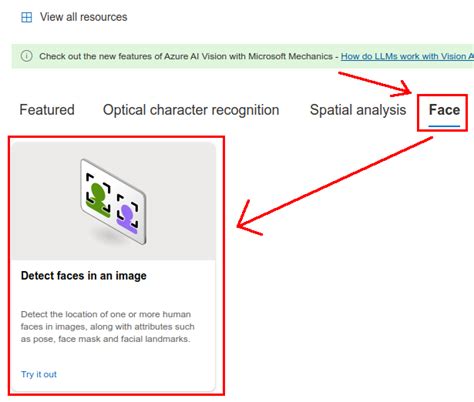 Github Henriquebjr Mslearn Ai Fundamentals Vision Studio