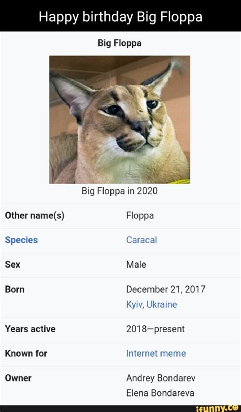 Happy Birthday Big Floppa Big Floppa Big Floppa In 2020 Other Floppa