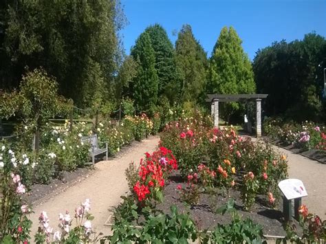Botanic Garden Dunedin City Council
