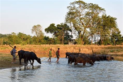 Terai Bilder & Fotos