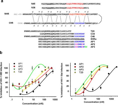 Schematic Illustration Of The Hiv 1 Gp41 Protein And Inhibition Of Download Scientific Diagram