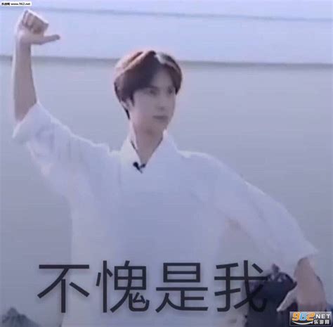 不愧是我表情包鸭鸭 不愧是我表情包下载 乐游网游戏下载