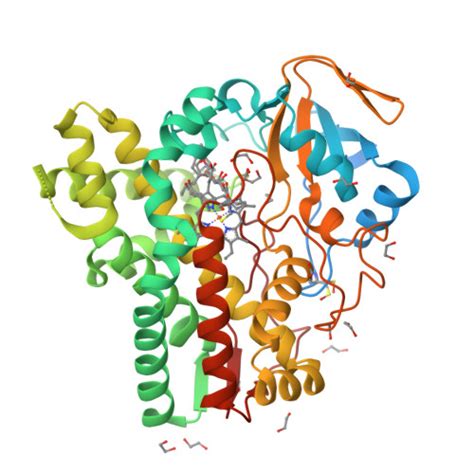 Rcsb Pdb 6b11 Tylhi In Complex With Native Substrate 23 Deoxy 5 O