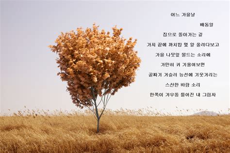 내게 희망과 행복을 준 시 당신에게도 위로되기를