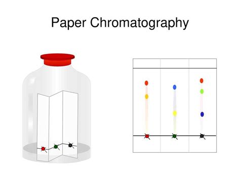 An Illustrated Guide To Paper Chromatography