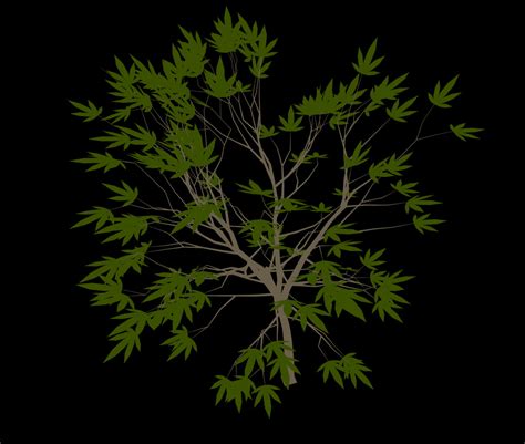 Tree Sapling Generator Breaking Gltf Export Soft8soft