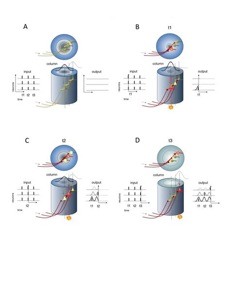 Computational Modeling