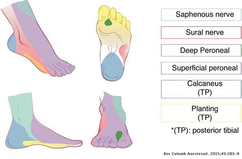 Ankle Block