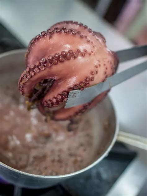 Deep Fried Octopus From Spain Visit Southern Spain