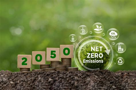 The Oxford Principles For Net Zero Aligned Carbon Offsetting Net Zero