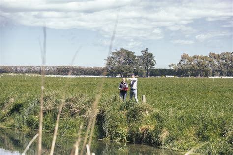 Catchment Condition Survey Reveals Insights And Opportunities For Improving Water Quality