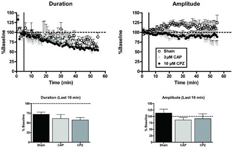 Modulation Of Trpv1 Receptor Function Does Not Alter Up States Top