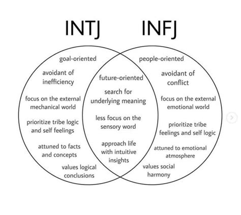 Pin By Aaron Cohen On INFJ INTJ In 2024 Infj Psychology Intj And