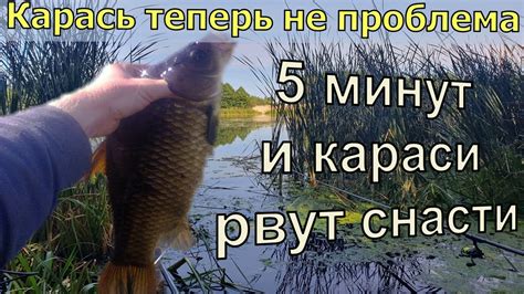 Карась грыз крючок! Супер рыболовная насадка на карася Лучше червя и ...