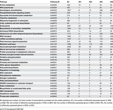List Of Enriched Pathways Of Differently Expressed Genes Download Table