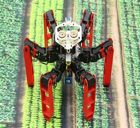 Antbot First Walking Robot That Can Explore Its Environment Go Home Automatically Without Gps
