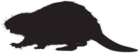 Beaver Clipart Head Pictures On Cliparts Pub 2020 🔝