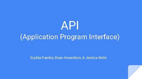 API Application Program Interface Sophia Pandey Ryan Amundson