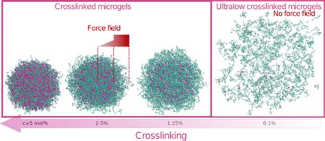 Structure Of Responsive Microgels Down To Ultralow Cross Linkings Macromolecules