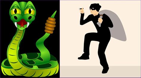 Viral News Snake Saves Man From Being Attacked By Robbers 👍 Latestly