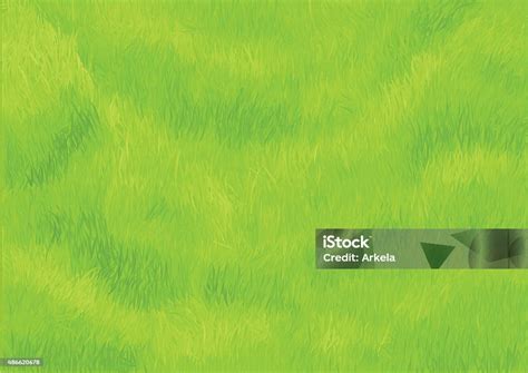 잔디 배경기술 풀 벼과에 대한 스톡 벡터 아트 및 기타 이미지 풀 벼과 일러스트레이션 배경 주제 Istock