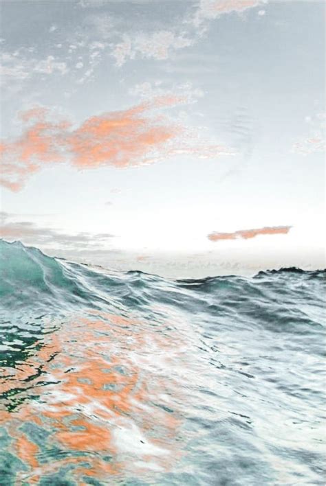 Preppy Pfp Wallpaper Explore More Aesthetic Associated Northeastern